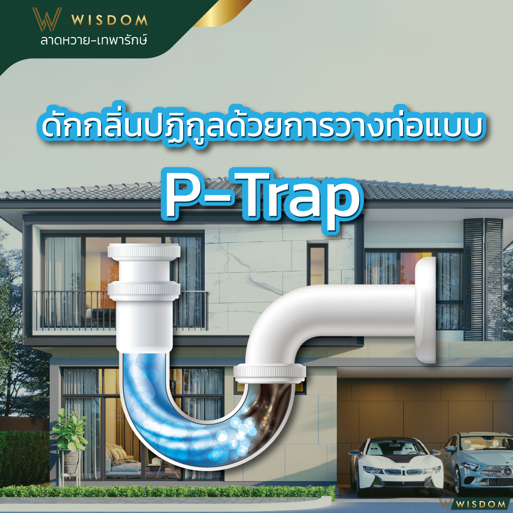 ดักกลิ่นปฏิกูลด้วยการวางท่อแบบ P-Trap - Chaianan Property